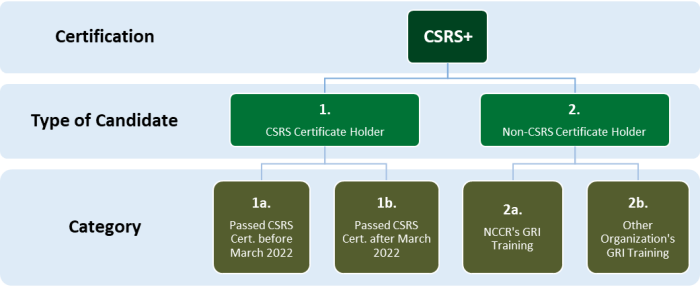 CSRS+ Certification - ICSP : ICSP
